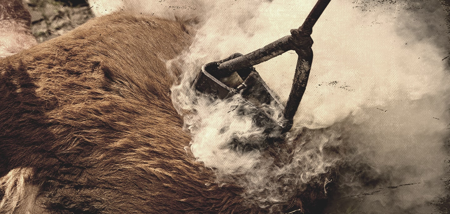 Branding Iron Award – Western Writers Of America