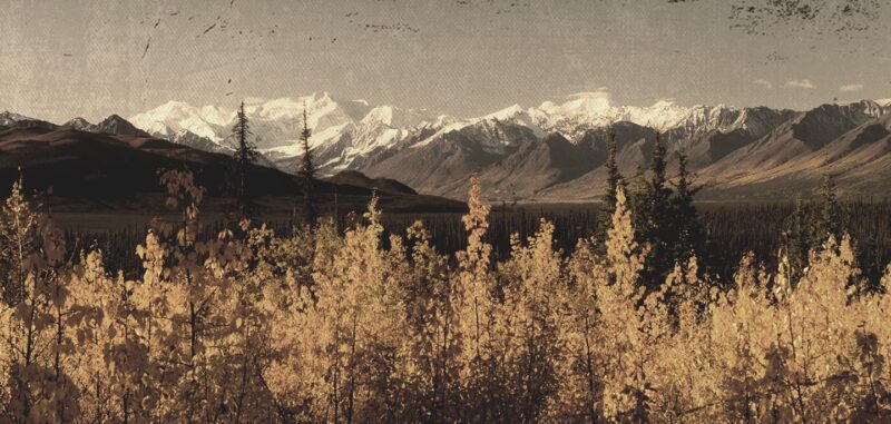 Western Writers Of America – Creating Literature of the West for the ...